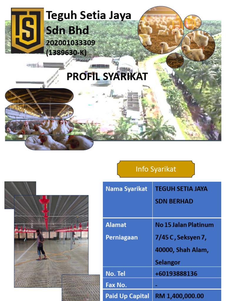 Teguh Setia Jaya SDN BHD | PDF | Bisnis