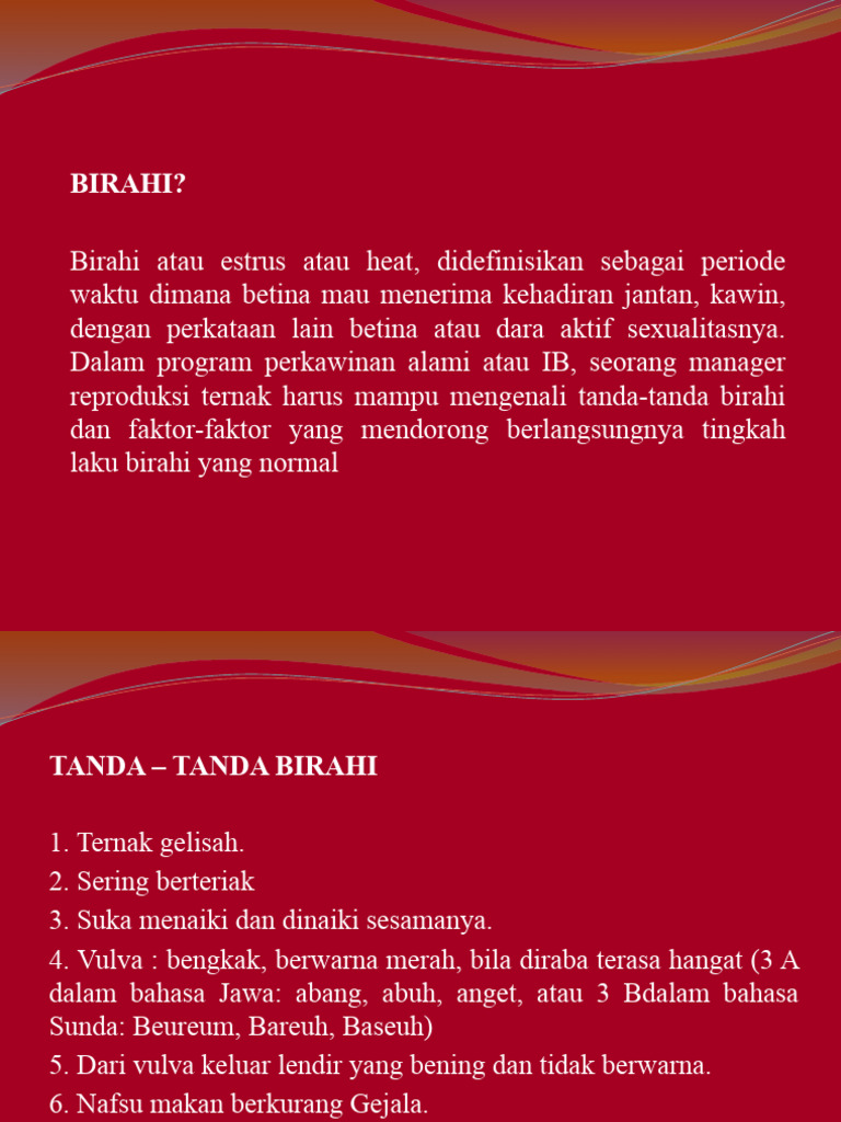 01-Birahi Dan Pubertas | PDF