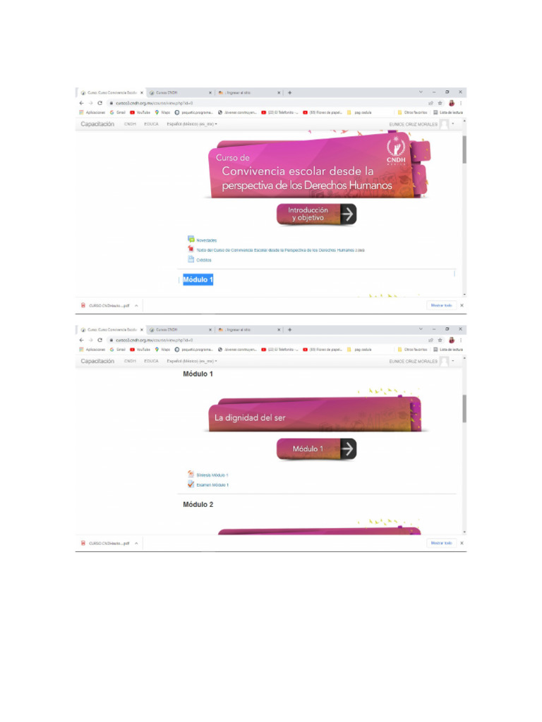 CAPTURAS-Curso Convivencia Escolar Desde La Perspectiva de Los Derechos Humanos | PDF | Derechos ...
