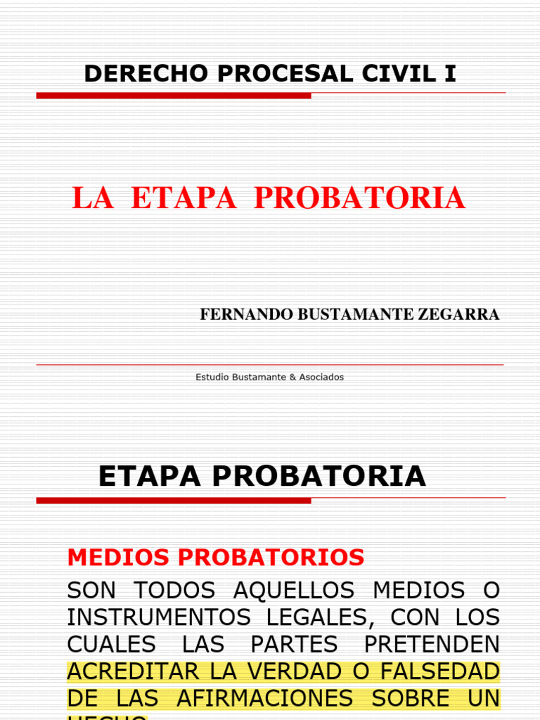 Etapa Probatoria | PDF | Evidencia (ley) | Justicia