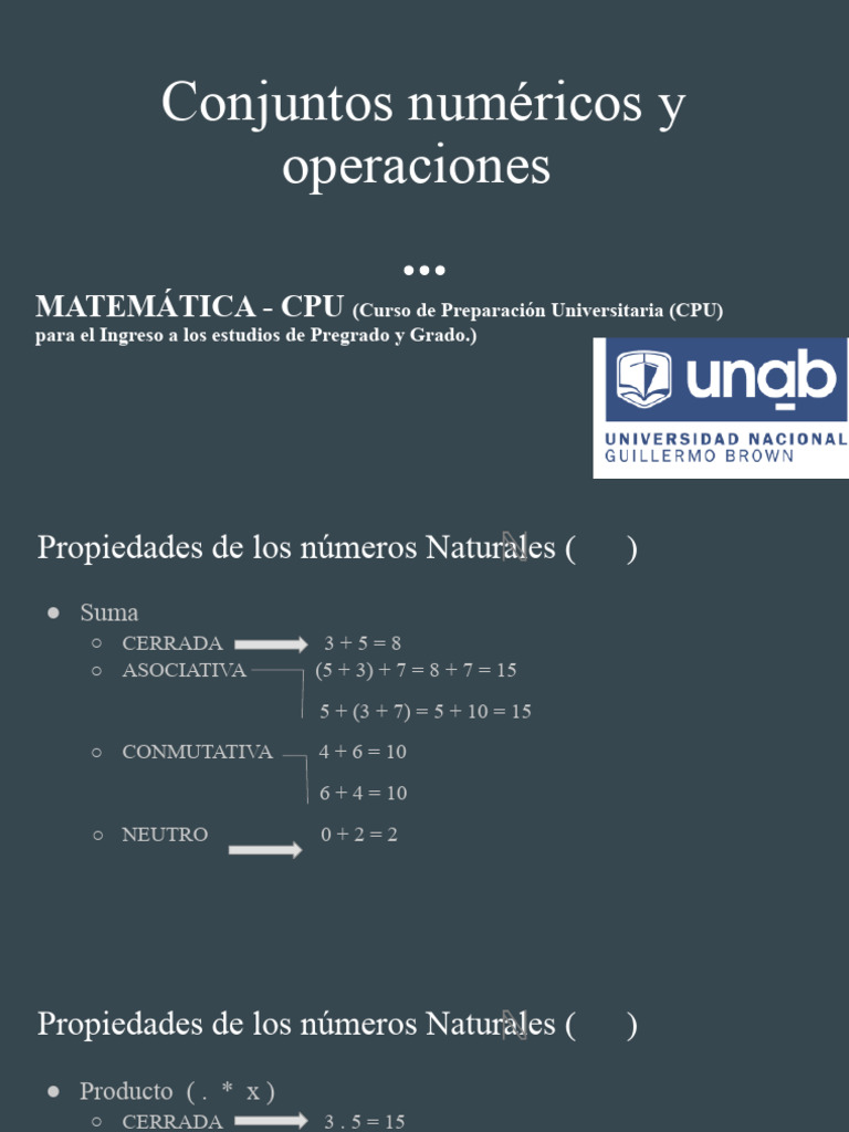 Conjuntos Numéricos y Sus Propiedades | PDF | Número natural | Álgebra abstracta