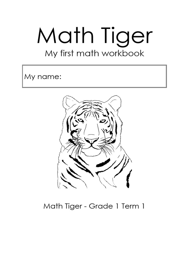 Math Tiger Grade 1 Workbook | PDF | Mathematics