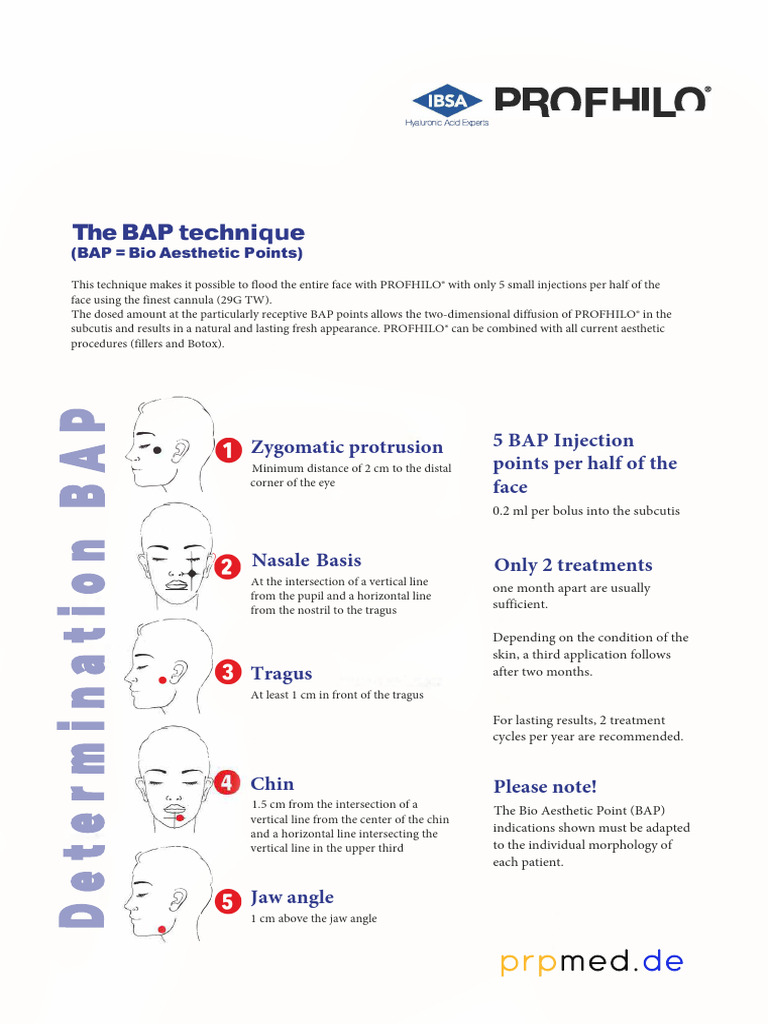 BAP Technology - Face EN | PDF