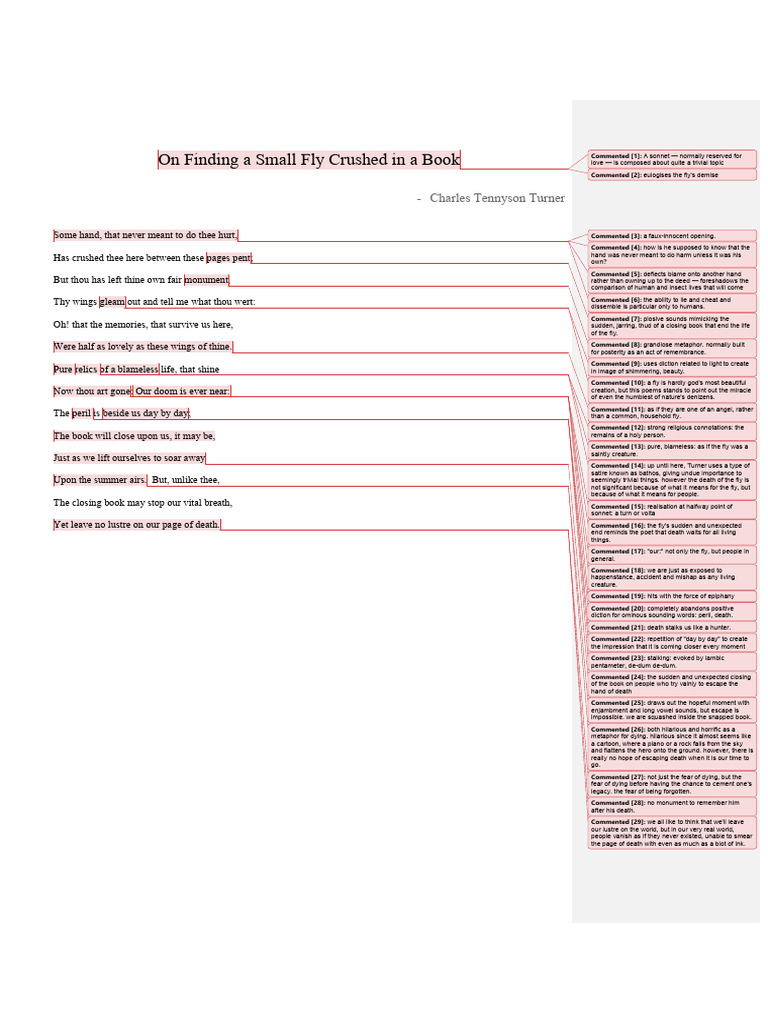 On Finding A Small Fly Crushed in A Book | PDF | Rhetoric | Stanzaic Form