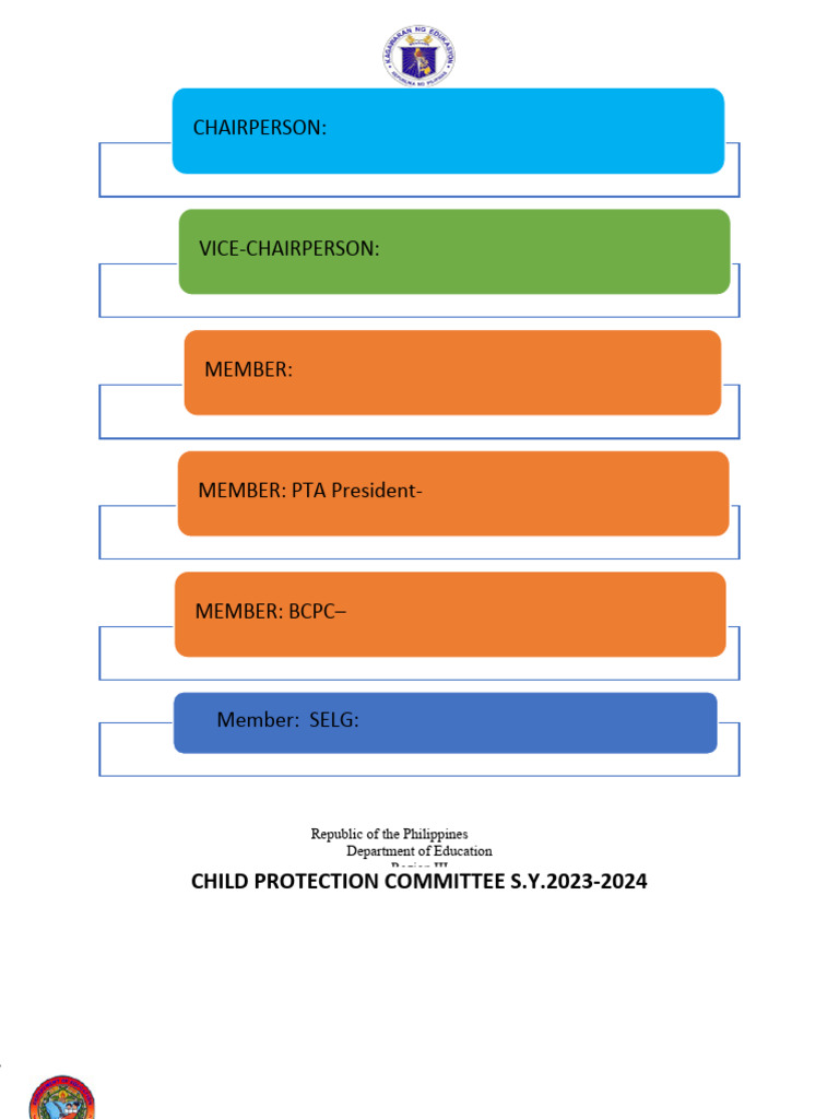 Child Protection Committee Composition | PDF