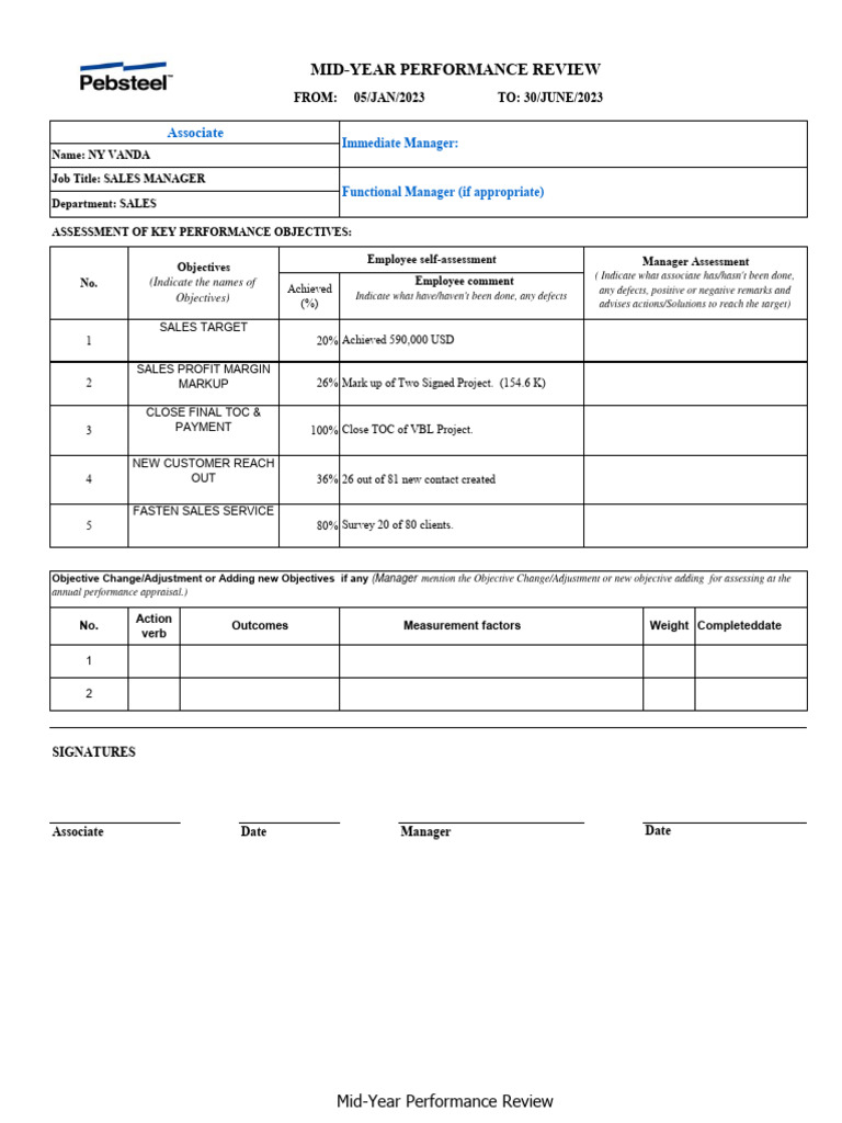 Mid-Year Performance Review: Associate | PDF