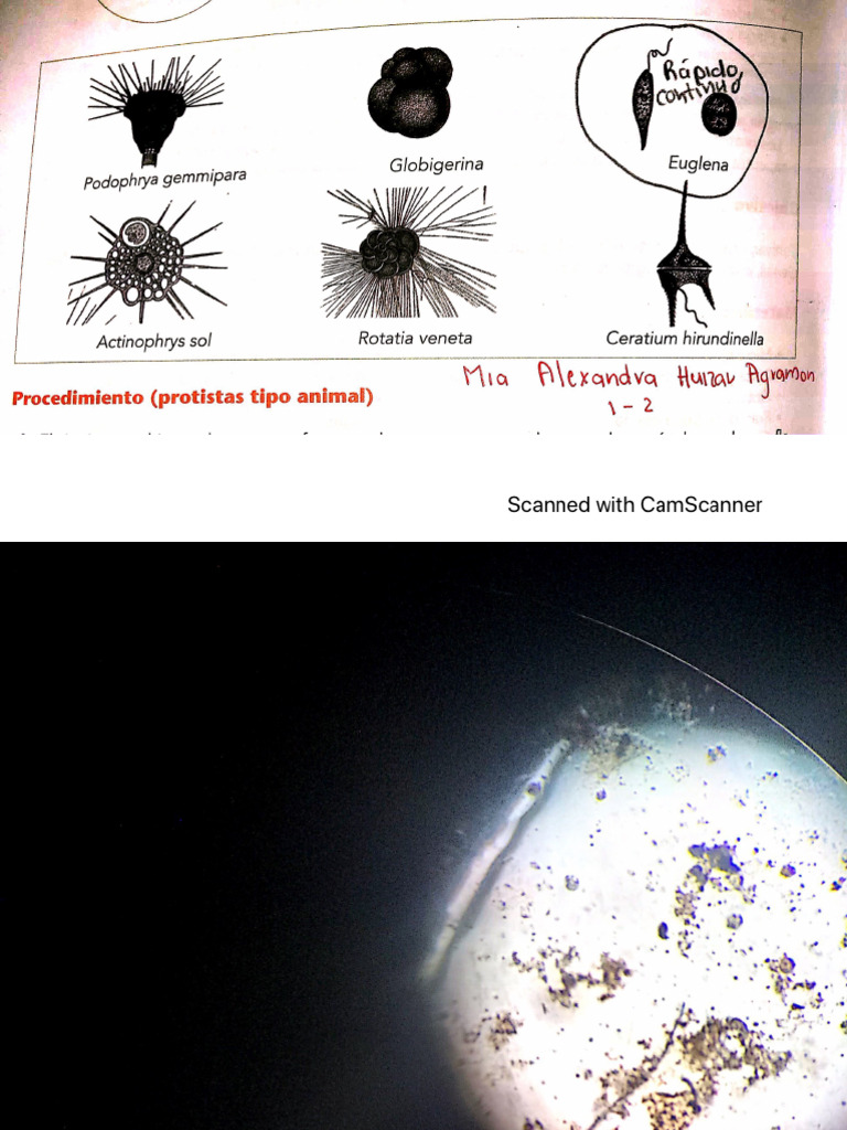 ReportepracticasBBII U3 Lab6 1-02 Eq03 | PDF
