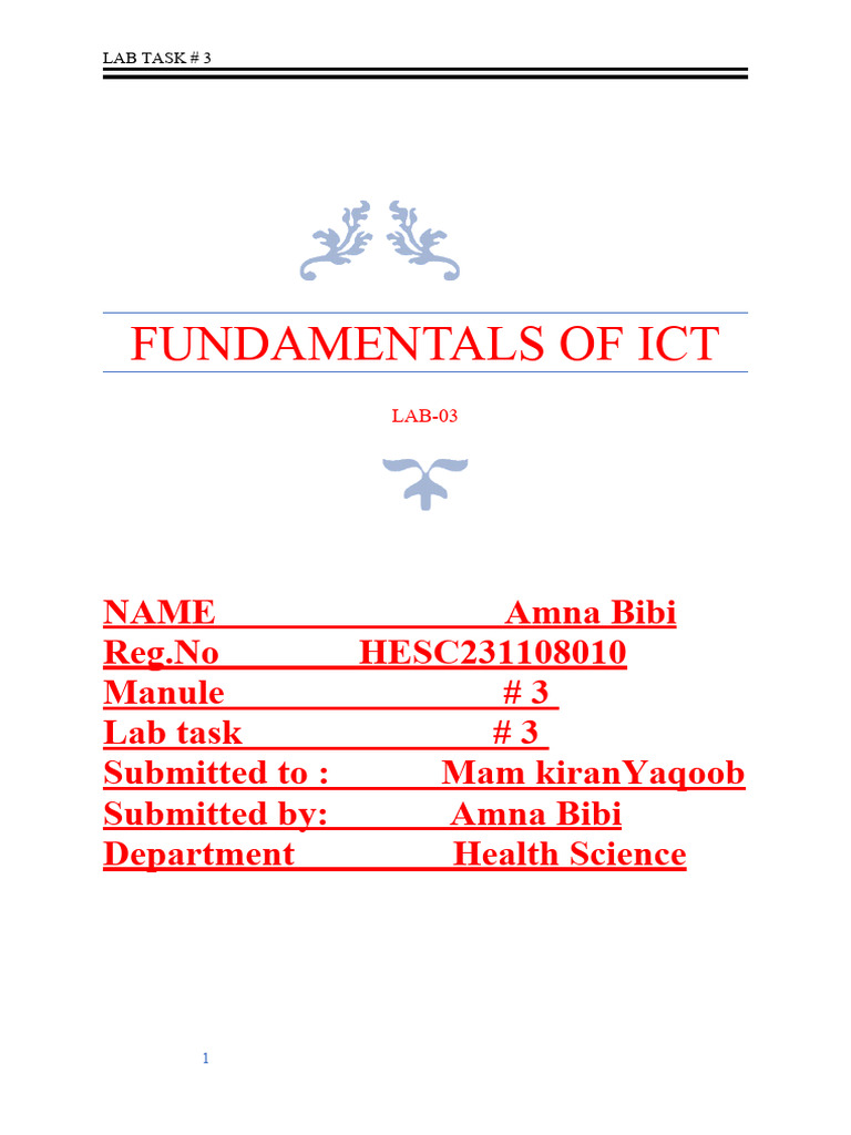Amna Bibi (Lab Task 3) | PDF