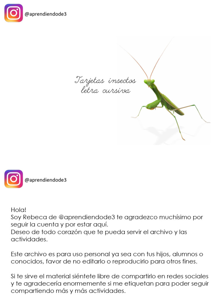Tarjetas de Insectos - Aprendiendode3 | PDF