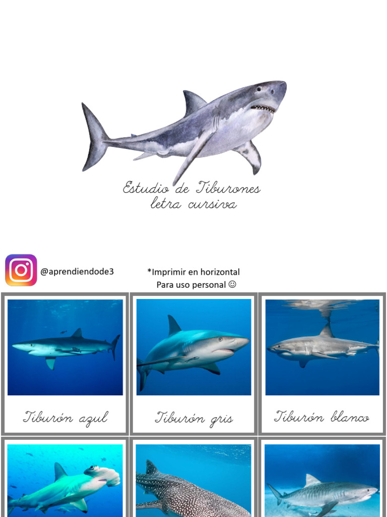 Tiburron - Laminas de Tres Parte | PDF