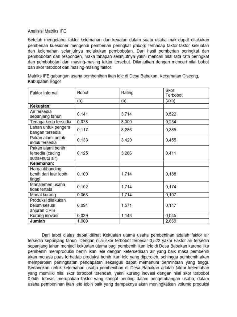 Analisisi Matriks IFE | PDF