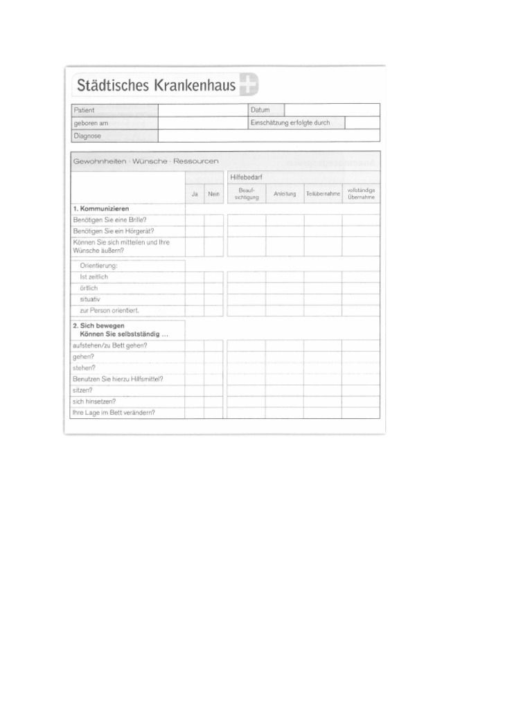 Formular Aufnahmebericht & Biographiebericht | PDF