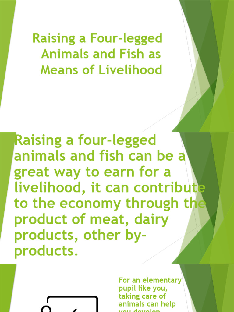Raising A Four-Legged Animals and Fish As Means of Livelihood | PDF