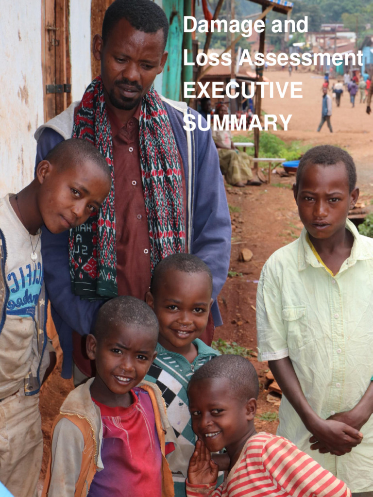 DaLa Executive Summary v3 | PDF | Internally Displaced Person ...