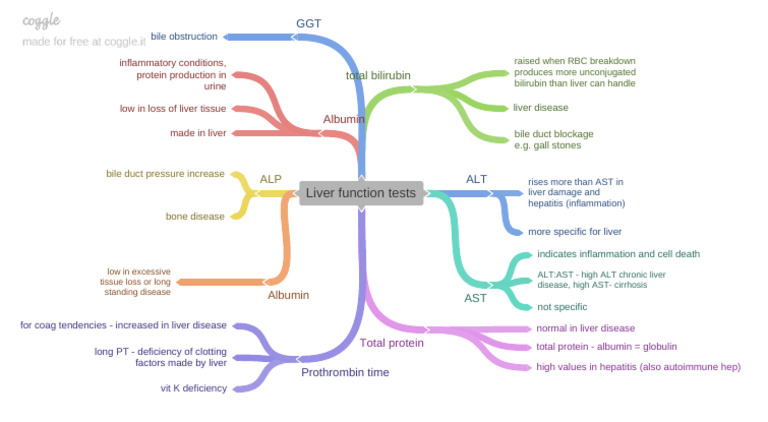 Liver Function Tests | PDF | Organ (Anatomy) | Causes Of Death