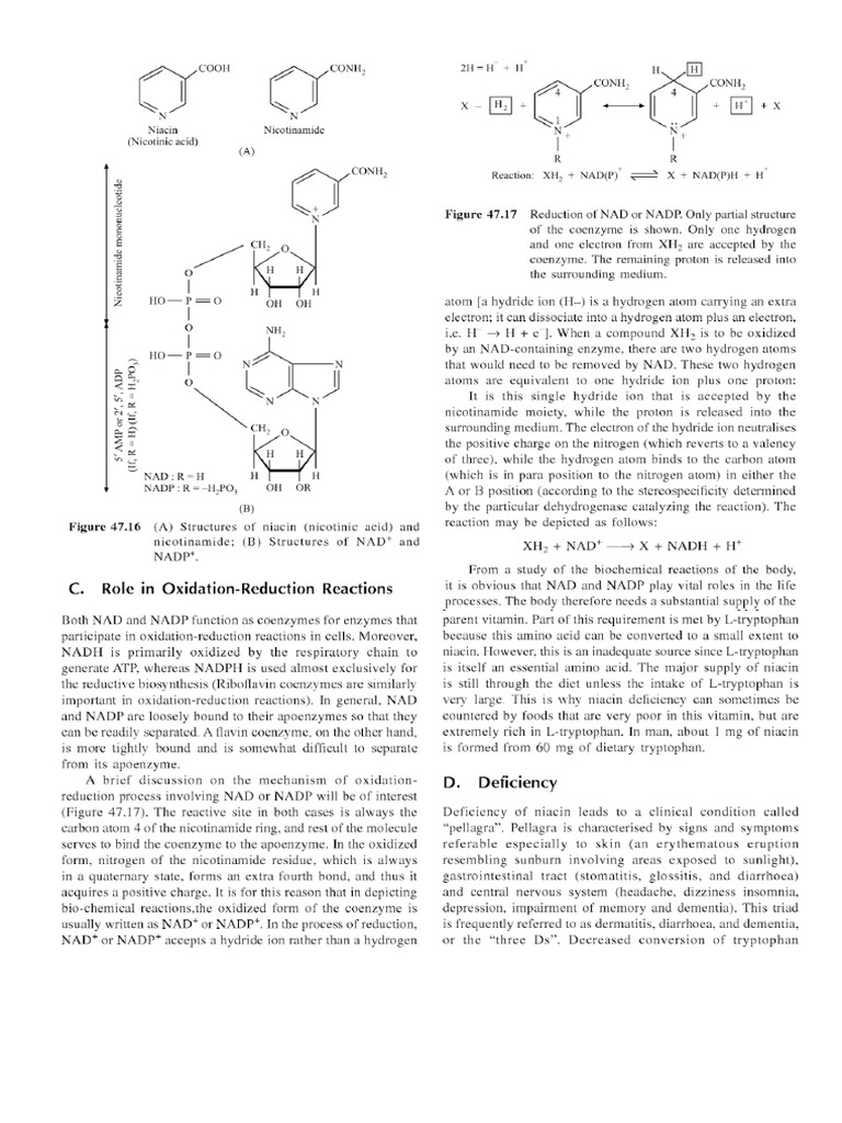 Calculation of Maximum ORP | PDF