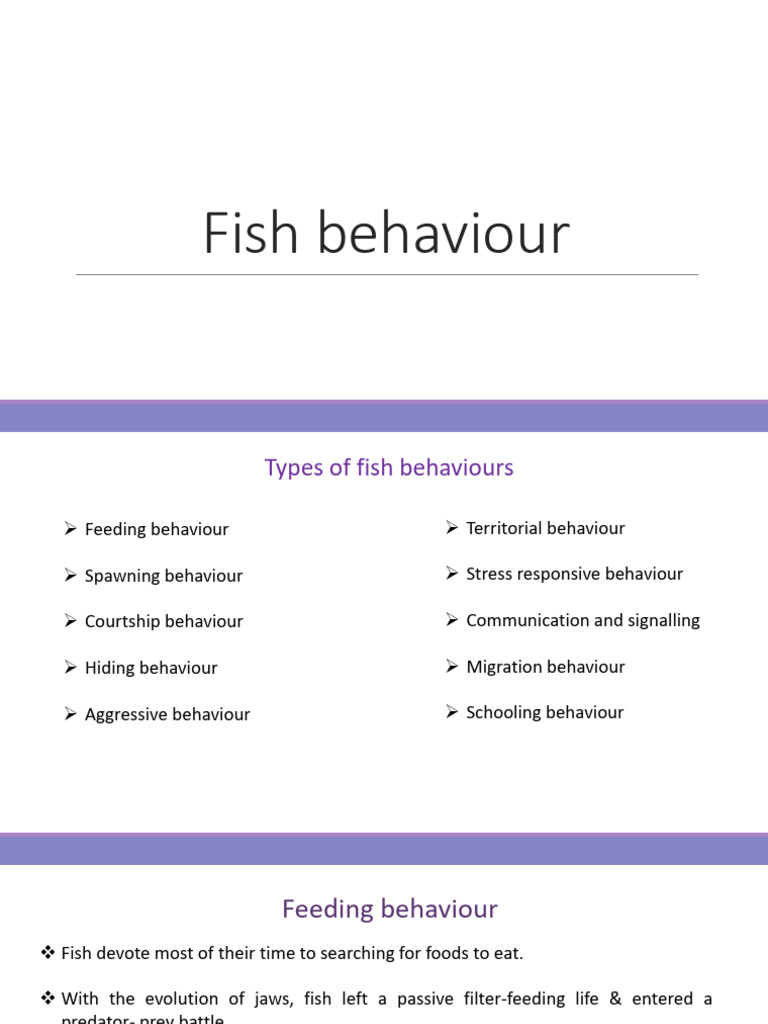 Fish Behaviour | PDF