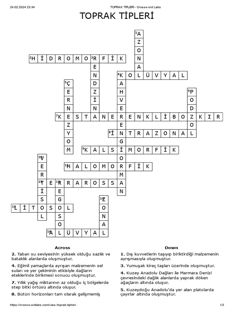 TOPRAK TİPLERİ - Crossword Lab Cevap | PDF