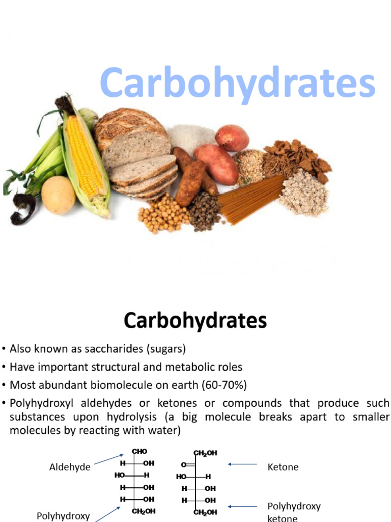 Module 6 - Carbohydrates | PDF | Carbohydrates | Polysaccharide