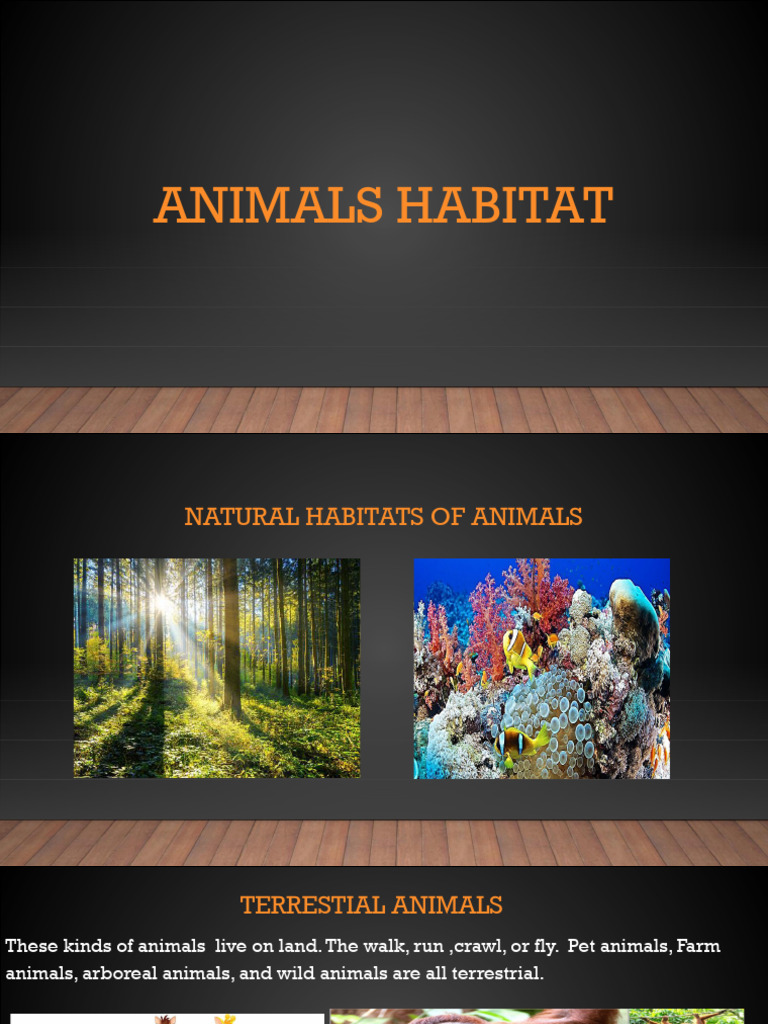 Animals Habitat Science | PDF | Pond | Habitat