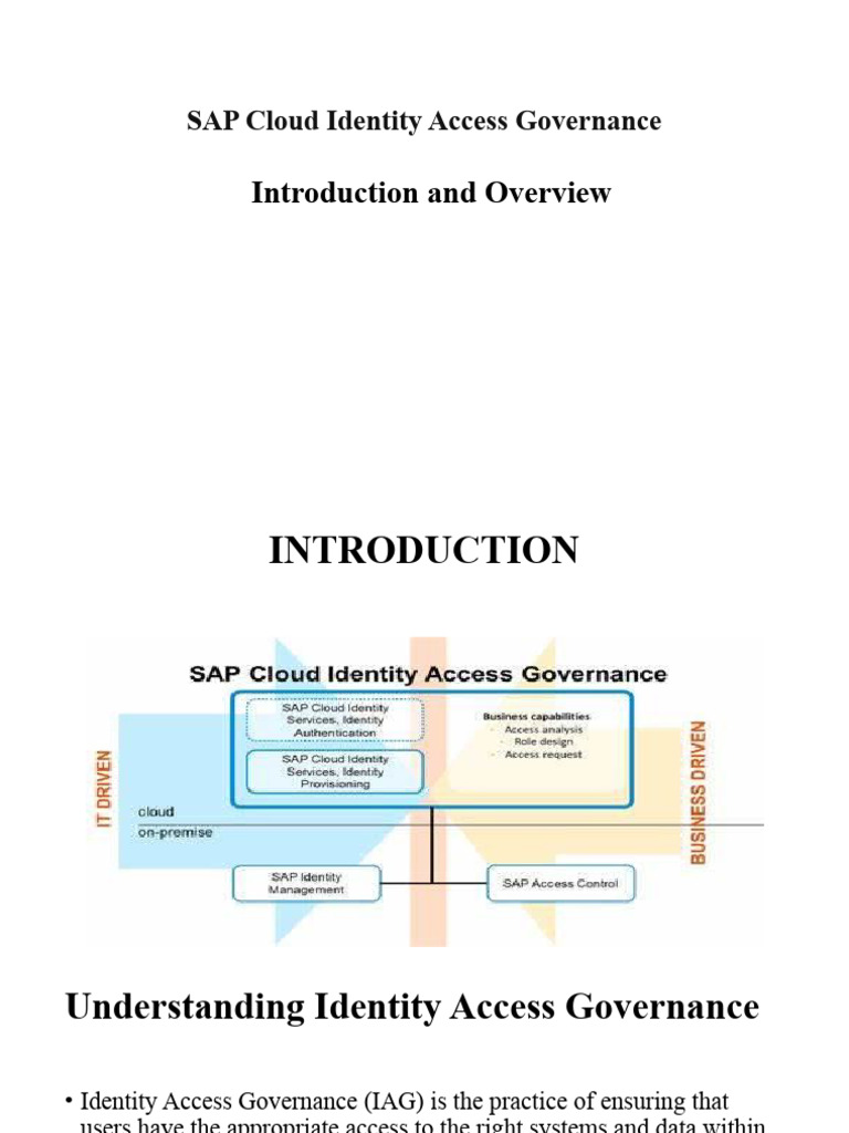 SAP Cloud Identity Access Governance | PDF | Cloud Computing | Computing