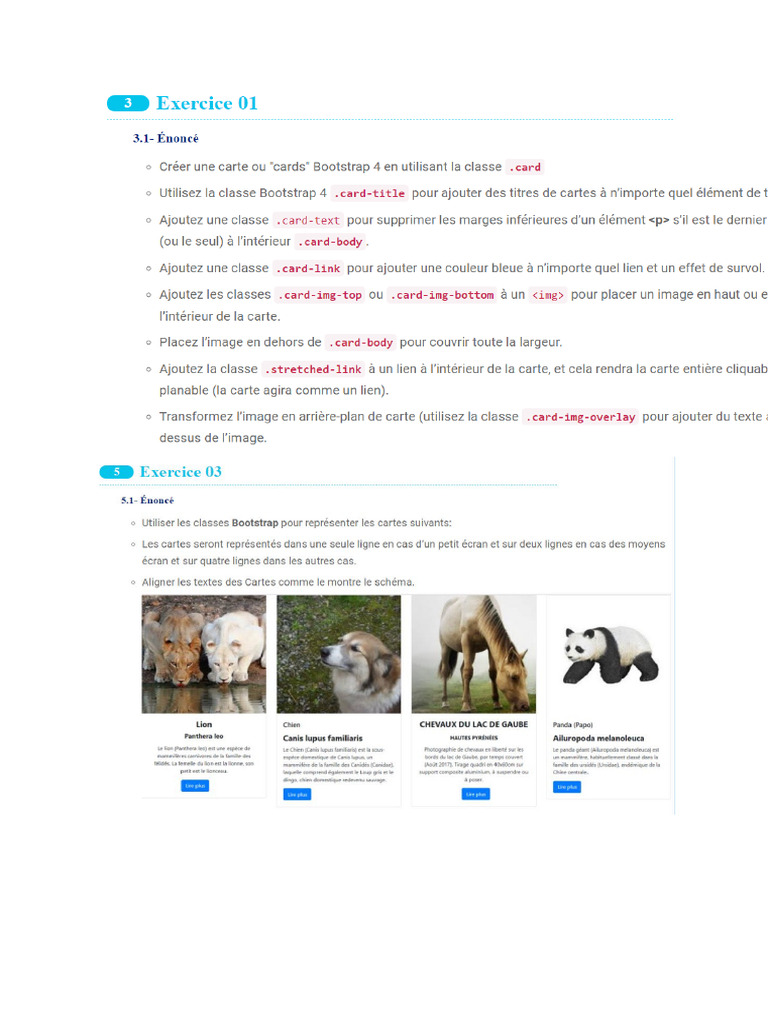 Exercices Bootstrap | PDF