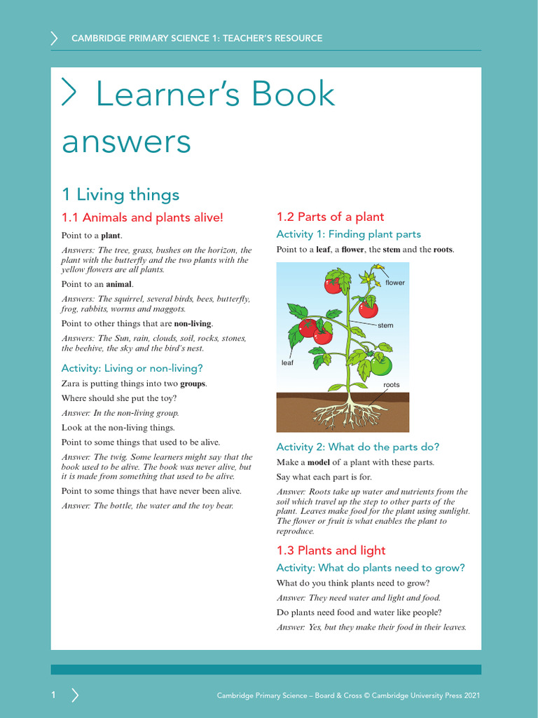 Cambridge Primary Learner's Book 1 Answers | PDF | Plants | Sound