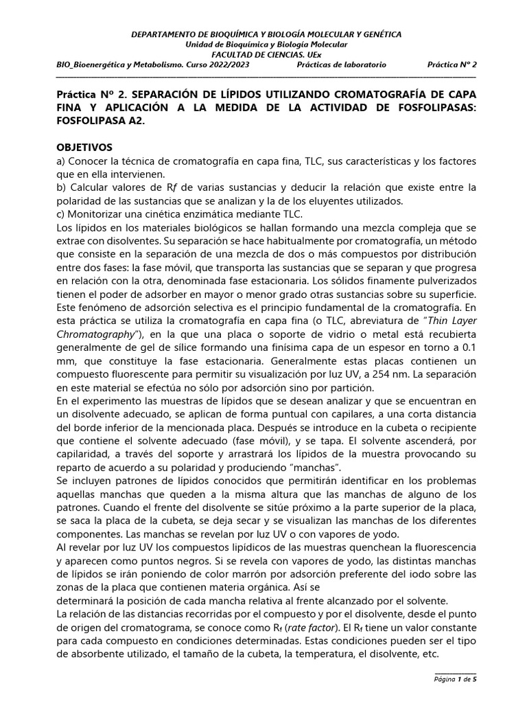 PrÃ¡ctica 2 - BIO - ByM - 2023 | PDF | Cromatografía | Cromatografía de capa fina