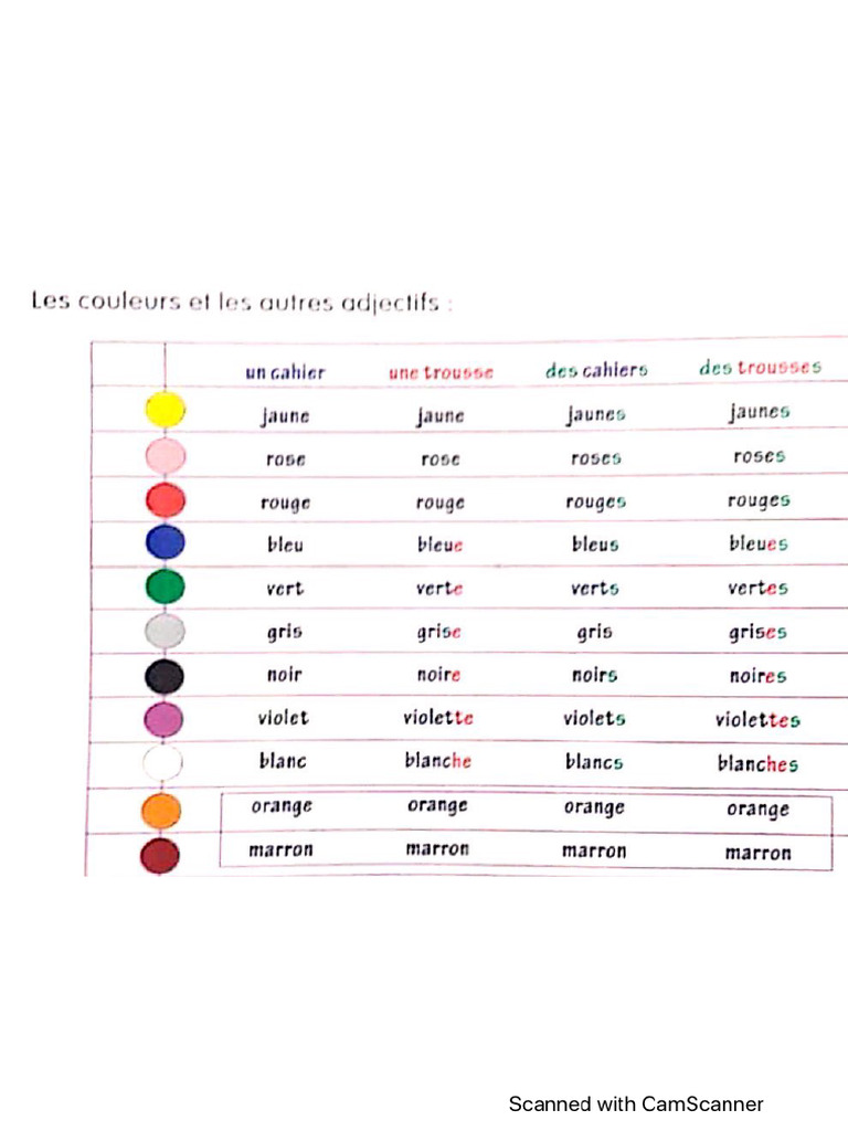 Les Couleurs Et Les Adjectifs Et Pluriel | PDF