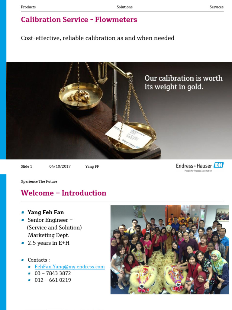 Flow Calibration Services Overview | PDF | Calibration | Metrology