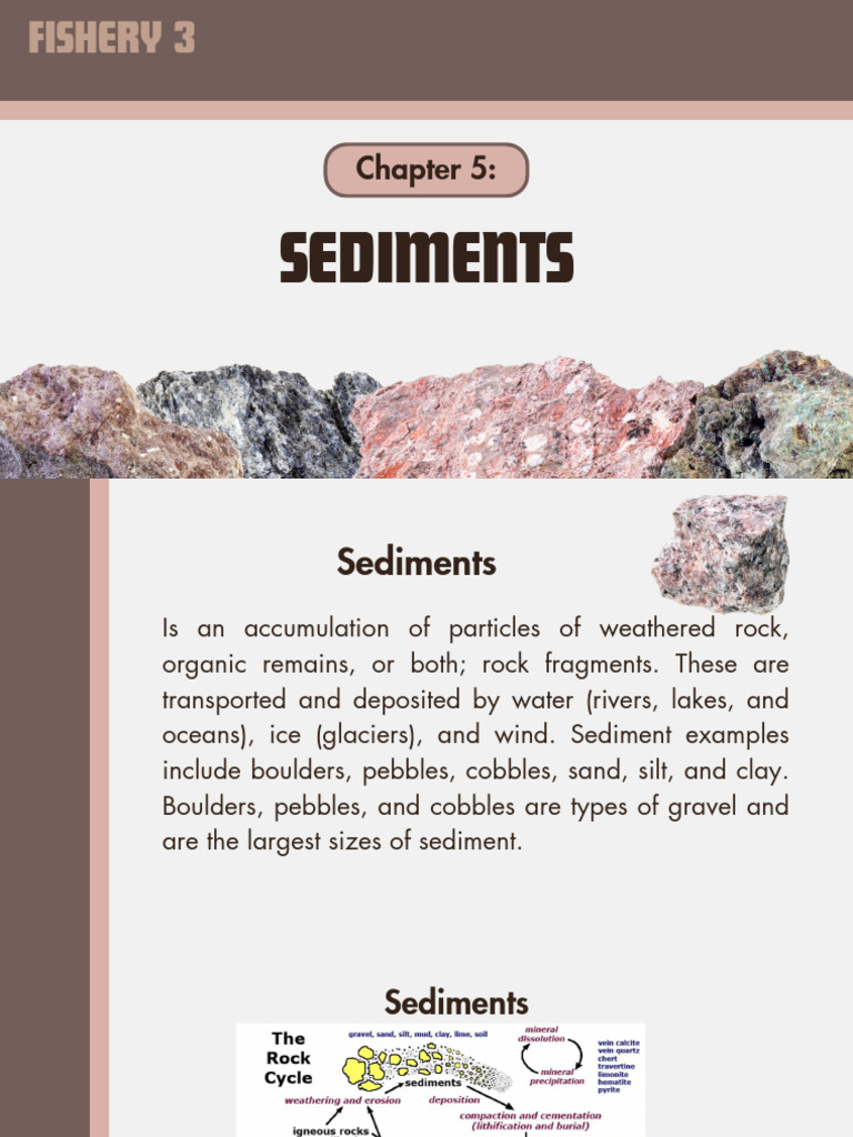 Chapter 5 | PDF | Sedimentary Rock | Rock (Geology)