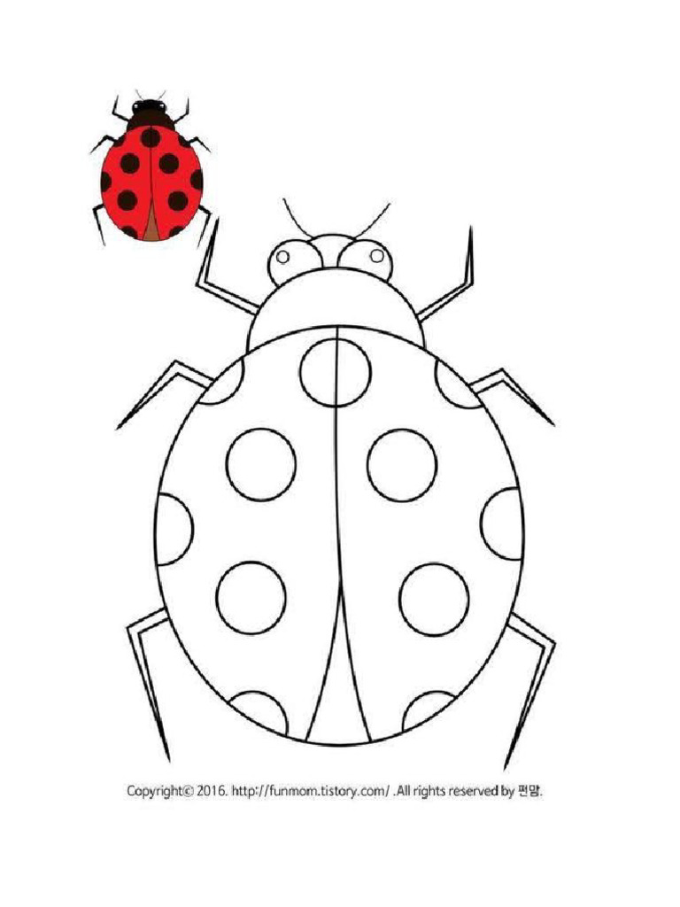 Coloreaza Buburuza Dupa Model | PDF