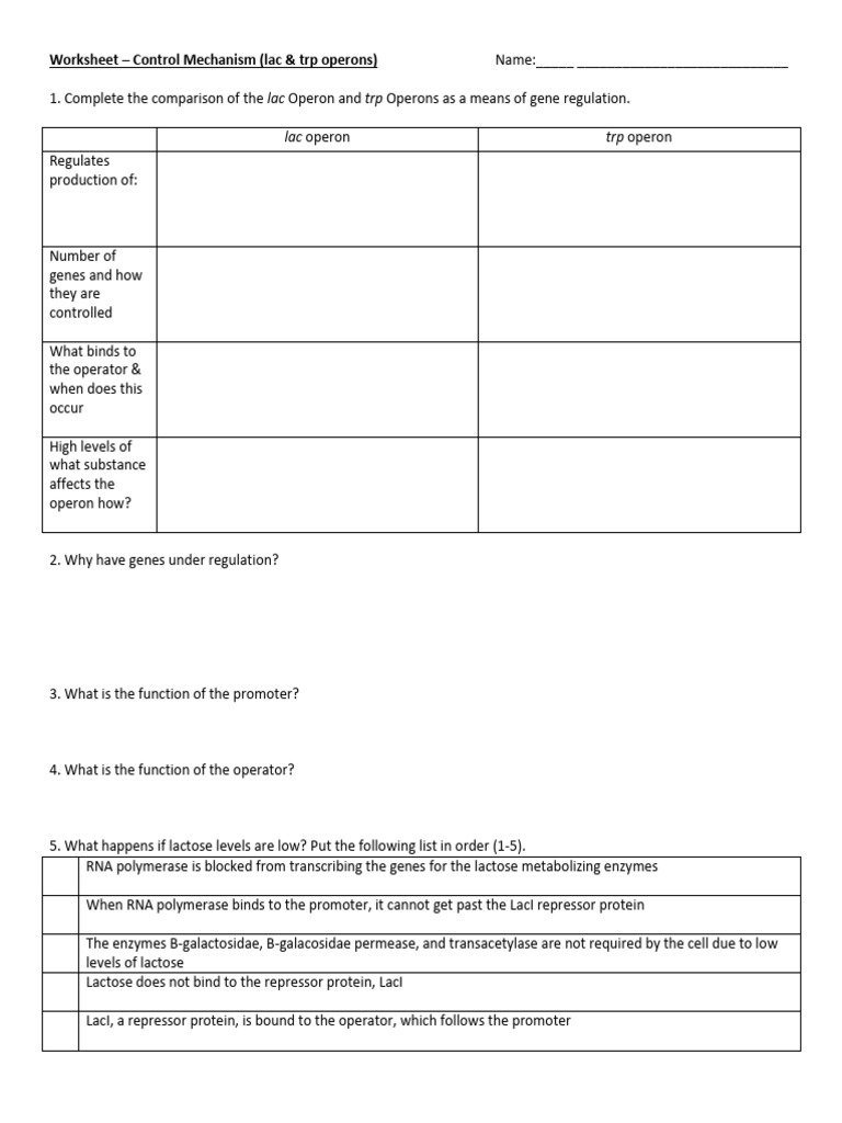 Lac & Trp Operon Regulation Worksheet | PDF | Operon | Repressor