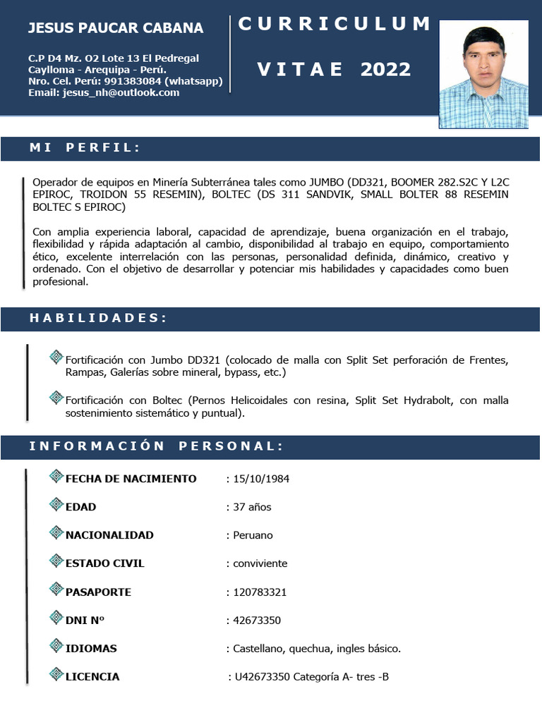 Cv-Jesus Paucar1 | PDF | Perú