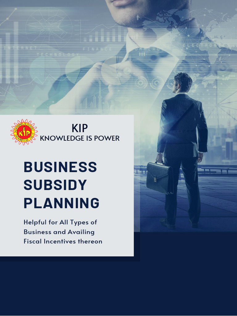 Ebook Business Subsidy Planning | PDF | Subsidy | Banks