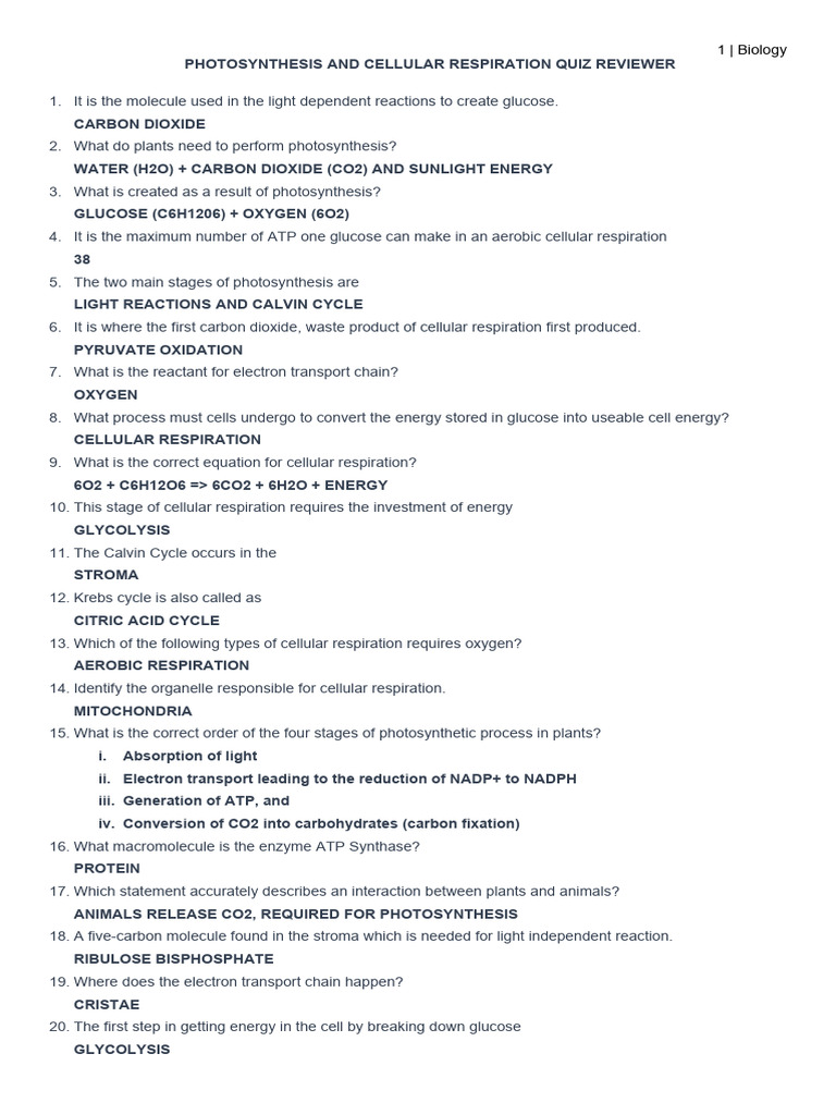Photosynthesis & Cellular Respiration Quiz | PDF | Cellular Respiration ...