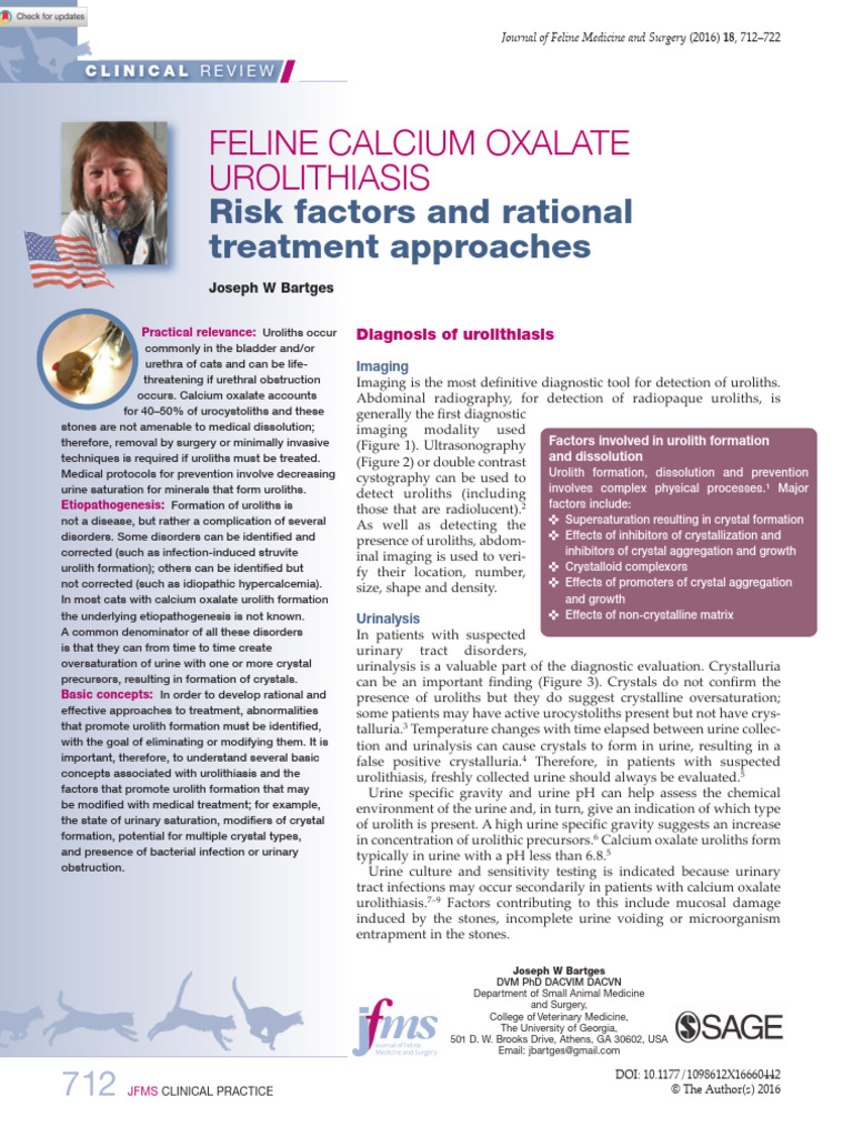 Bartges 2016 Feline Calcium Oxalate Urolithiasis Risk Factors and ...