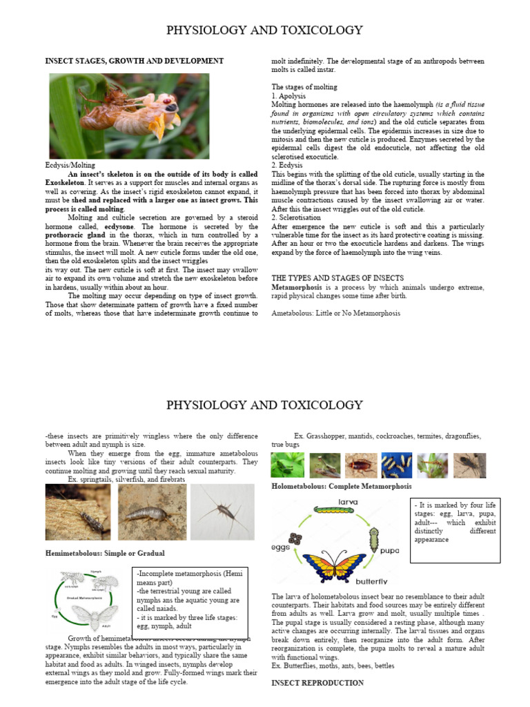Physio Handouts | PDF | Insects | Zoology