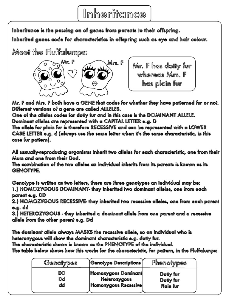 GCSE Inheritance Info Sheet | PDF