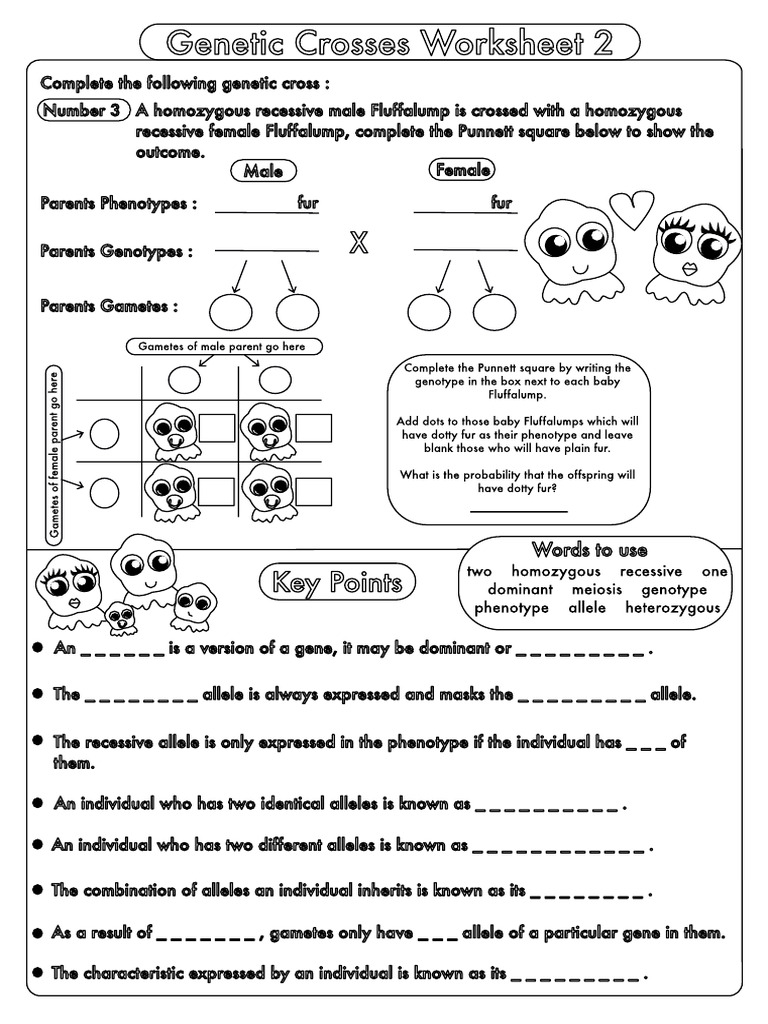 GCSE Genetic Crosses Worksheet 2 | PDF