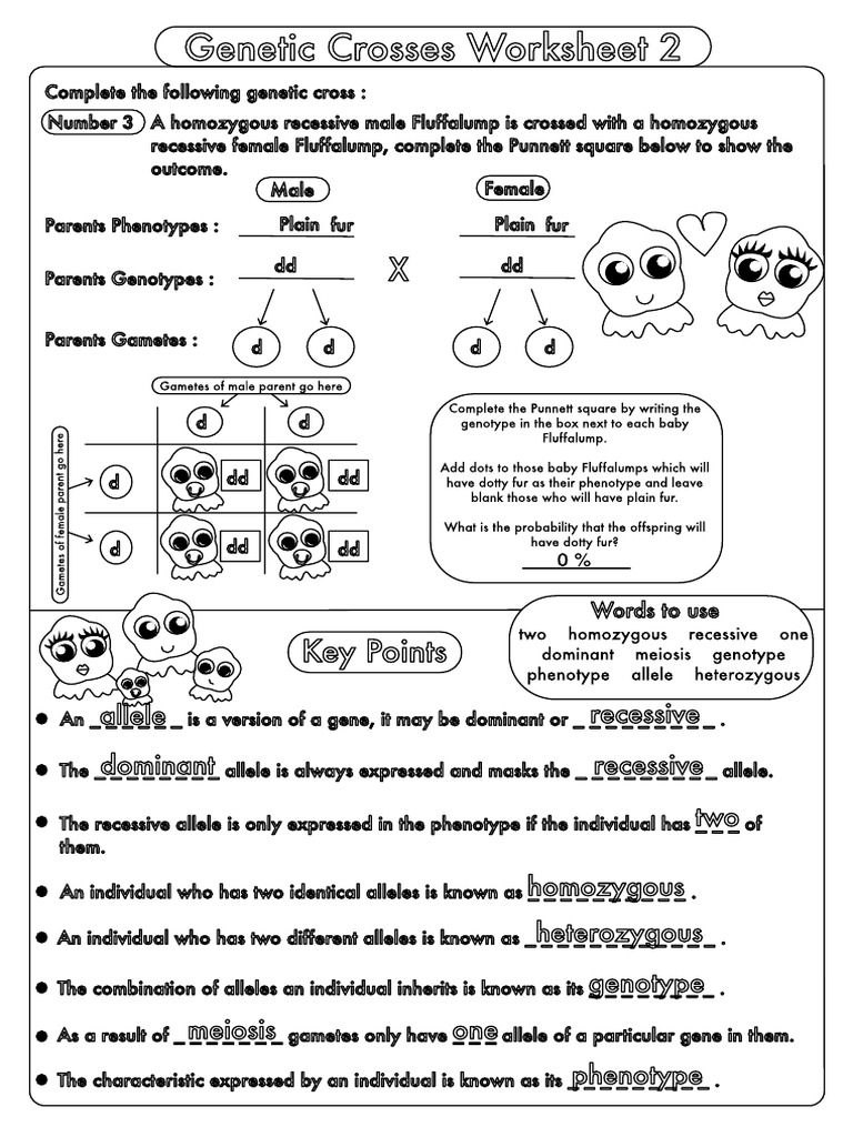 GCSE Genetic Crosses Worksheet 2 2 | PDF