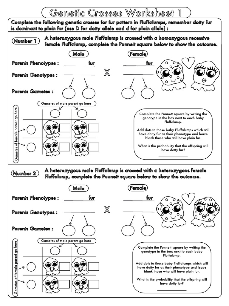 GCSE Genetic Crosses Worksheet 1 | PDF