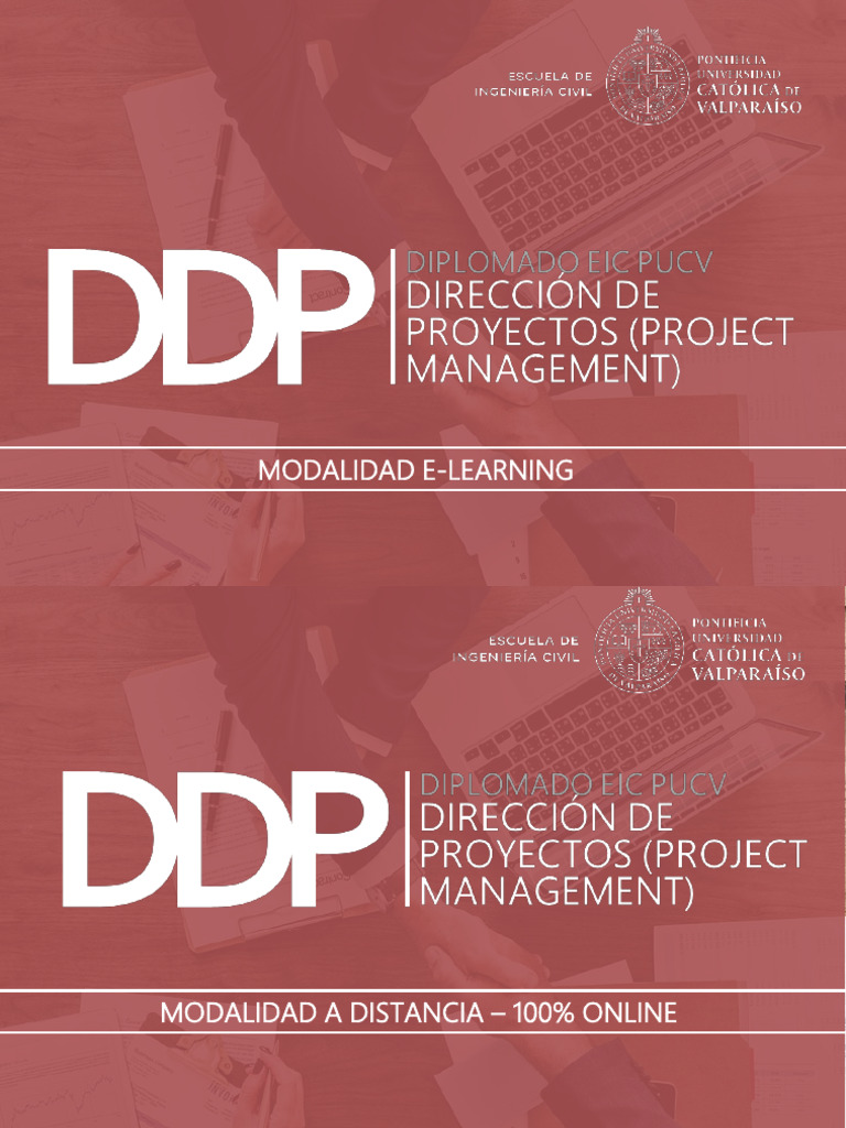 Brochure DDP-2024 | PDF | Gestión de proyectos | Ingeniería