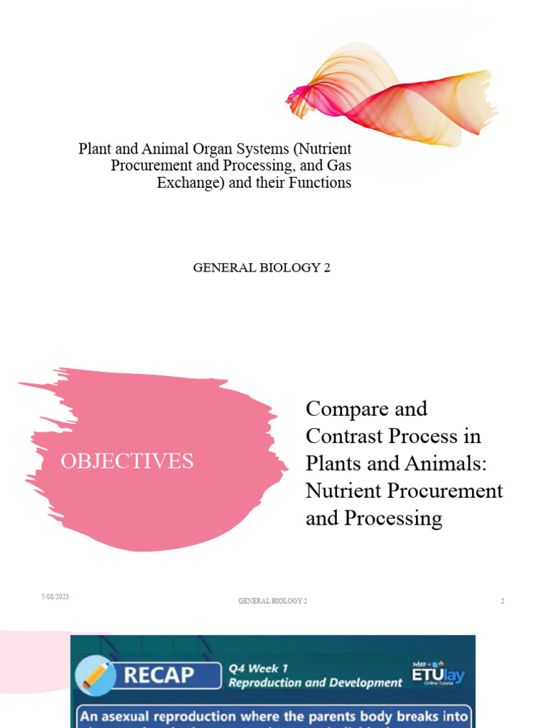 Plant and Animal Organ Systems Nutrient Procurement Learners | PDF ...