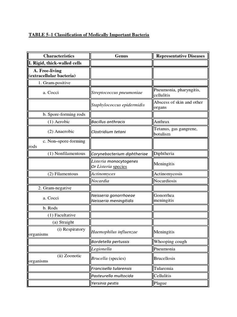 Medically Important Bacteria | PDF