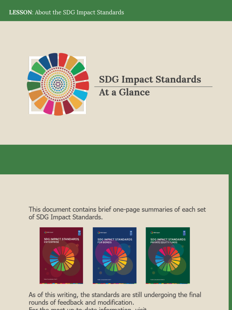 Overview of SDG Impact Standards | PDF | Governance | Sustainability