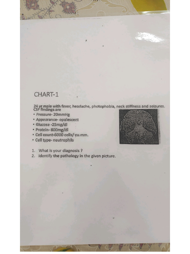 CSF Examination Charts | PDF
