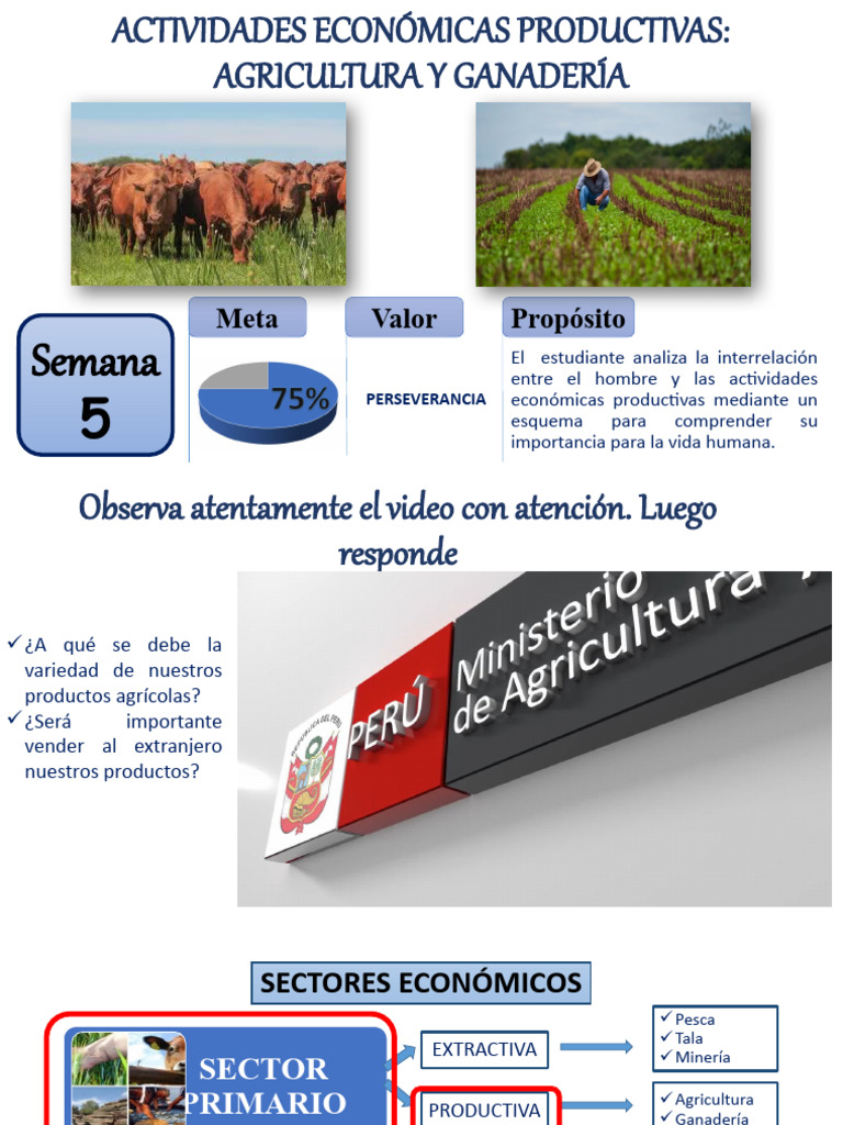Act. Econo. 2 - Productivas | PDF | Agricultura | Industria de alimentos