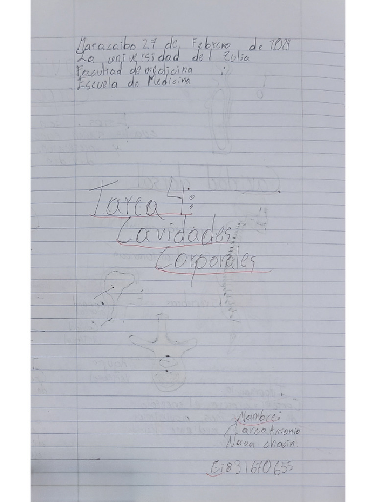 Cavidades Corporales. Marco Nava | PDF