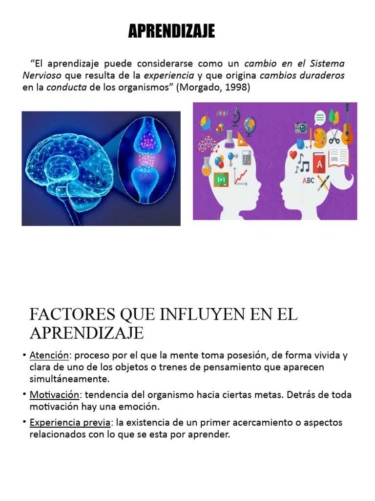 Aprendizaje Y Memoria Pdf Memoria Aprendizaje